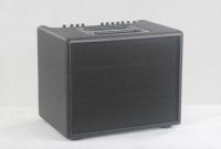 China Acoustic Guitar Amplifier 60W 8 Inch Tweeter AER Style AC 60 for sale
