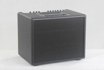China Acoustic Guitar Amplifier 60W 8 Inch Tweeter AER Style AC 60 for sale