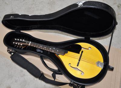 China Custom Handmade 8-String Mandolin Electric Guitar with Ebony Fretboard 20 Fret for sale