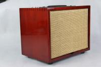 China Grand Style 60W Acoustic Guitar Amplifier with 8 Inch Speaker and Tweeter for Professional Performance for sale