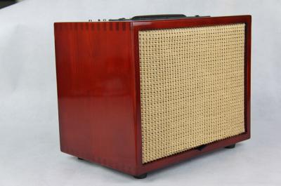 China Grand Style 60W Acoustic Guitar Amplifier with 8 Inch Speaker and Tweeter for Professional Performance for sale