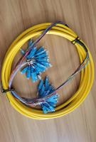 China 24 Core SC/UPC Pre-Terminated Patch Cord with Maximum Install Tray Number 1 Splice Tray for sale