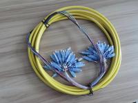 China 24 Core SC/UPC Pre-Terminated Patch Cord with Maximum Install Tray Number 1 Splice Tray for sale