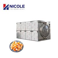 China Industrial Rotary Microwave Vacuum Dryer SUS 304 PLC Panel Control for sale