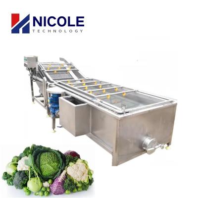 China 220V - 440V Fruit Vegetable Cleaning Machine Multifunctional 100 - 2000kg/h for sale