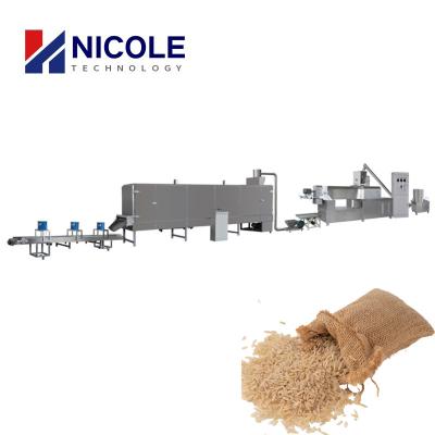 China Industrial Twin Screw Artificial Rice Production Line Automatic 300kg/H for sale