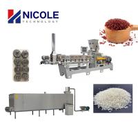 China 200kg 300kg 500kg Artificial Rice Extruder Machine for sale