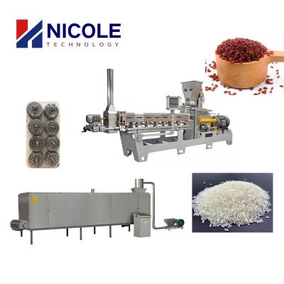 China 200kg 300kg 500kg Artificial Rice Extruder Machine for sale