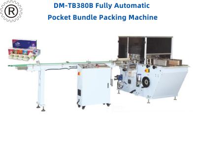 China Automatic Floor Tiding Pocket Tissue Bundle Packing Machine 12 Bags per Min 0.6kw for sale