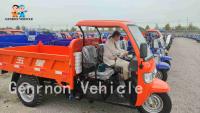 China Diesel Engine 3 Wheels Genorn Motorized Cargo Tricycle for sale
