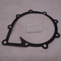 China Original water pump gasket for MAN engine Howo T7H SITRAK C7H MC11 MAN D2066 Engine Parts 201V06901-0192 for sale
