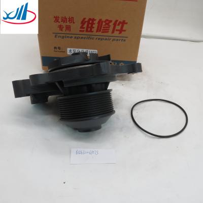 China Best selling Water pump sub-assembly 1073 612630061073 for sale