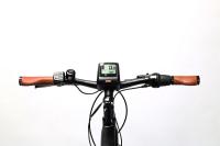 China 8 Speed 36V Electric Hybrid Mountain Bike 31-60km 10.4Ah for sale