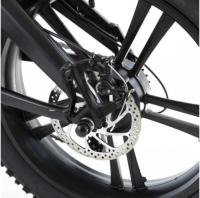 China 700W 20 Inch Electric Mountain Bike 7 Speed 36V 48V Motor Lithium Battery 30-40km for sale