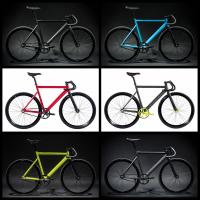 China 6061 Aluminum Alloy Single Speed Fixed Gear Fixie Bike for sale
