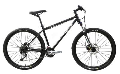 China Aluminum Alloy MTB Mountain Bike Sepeda Mountain Bike 29er Hydraulic Disc 29 Inch for sale