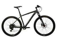 China Carbon Fibre 29 Inch Mountain Bike for sale