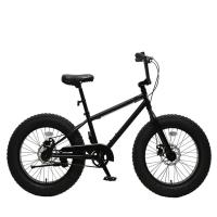 China 20 Inch BMX Fat Tire Bicycle Hi-Ten Steel Frame 8 Speed for sale