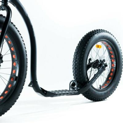 China Fat Wheel Electric Adult Kick Bike 26