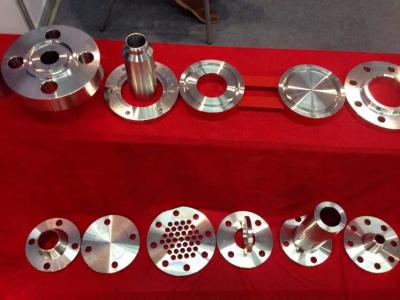 China Heat Resistant Duplex Stainless Steel Flanges ASME B16.5 Alloy 310/310S for sale