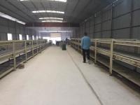 China Heavy Duty Gypsum Decorative Sheet Production Line 595x595 , 603x603 Size for sale