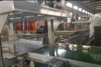 China Building Insulation Systems Rock Wool Sheet Making Machinery Production Line for sale