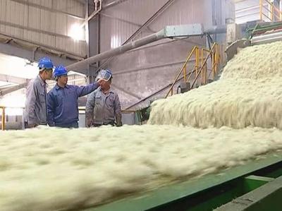 China Mineral Wool Board Production Line with 1200-2400mm Board Width 80-200kg/m3 Density and 380V/50Hz Power Supply for sale