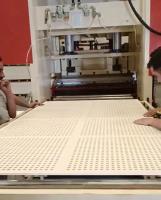 China Plaster Board Punching Machine with 160 KG Punching Pressure for 20mm Max Thickness and Customizable Hole Shapes for sale