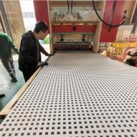China 200T Pressure High Automatic Punch Press for Max 20mm Thickness Gypsum Board Perforation Machine for sale