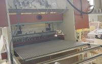 China 200T Pressure High Automatic Punch Press for Max 20mm Thickness Gypsum Board Perforation Machine for sale