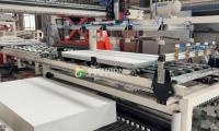 China Automatic Gypsum Board Strip Cutting Machine For 1200 Mm*2400 Mm Boards Dust Free Operation for sale