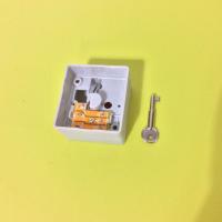 China Panic Buttons with Key in Output:NO & NC for siren horn strobe lights for sale