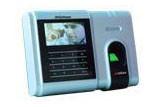 China TCP/IP Fingerprint Time Attendance wiht Color LCD display and USB interface for sale