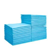 China Custom Logo PE Backsheet Disposable Pet Training Mat for sale