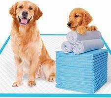China SAP Pets At Home Training Pads Super Absorbent Washable Wee Wee Pads for sale