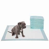 China PE  Pet Urine Pad Eco Friendly Genebest 36x36 Pee Pads for sale