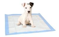 China OEM  Puppy Pee Pads 15g 4 Layer 60x60 Xxl Wee Wee Pads for sale