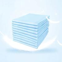 China S 33x45cm Disposable Puppy Pads Reusable Dog Potty Mat for sale