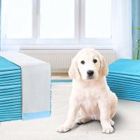 China Extra Large Pet Puppy Training Pad Pee Absorbing Mat For Dogs M 60x45cm for sale