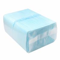 China Agility Disposable Absorbent Pads Waterproof Puppy Pads L 60x60cm for sale