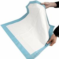 China ODM Pet Toilet Training Pads Disposable LeakProof Training Dog Urine Mat for sale