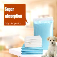 China Extra Large Indoor Pet Training Mat Puppy Ate Pee Pad L 60x60cm for sale