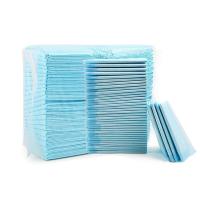 China Compostable Puppy Eating Training Pads Biodegradable Indoor Dog Cat Pee Pad XL 60x90cm for sale