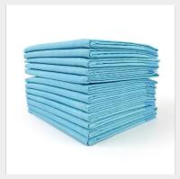 China Customized Pet Pee Pads L 60x60cm Puppy Chewing Puppy Pad for sale