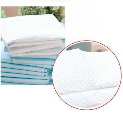 China Toilet Dog Potty Training Mat Leakproof Puppy Chewing Training Pads 60x90cm for sale