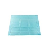 China 1200ml Disposable Pee Pads Nonwoven Blue Ribbon Puppy Pads S 33x45cm for sale