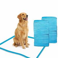 China Disposable Eco Friendly Dog Pee Pads Pet Training Nursing For Cats for sale