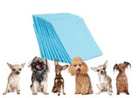 China Disposable Dog Pet Training Pad Biodegradable Soft For Puppy for sale