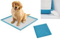 China Absorbent Dog Disposable Pet Pad Puppy Training Leak Proof Quick Drying for sale
