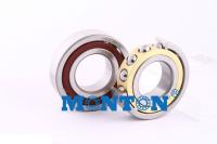 China 65bnr19xe Angular Contact Ball Bearings Dual Axis Worm Drive Slewing Ring for sale
